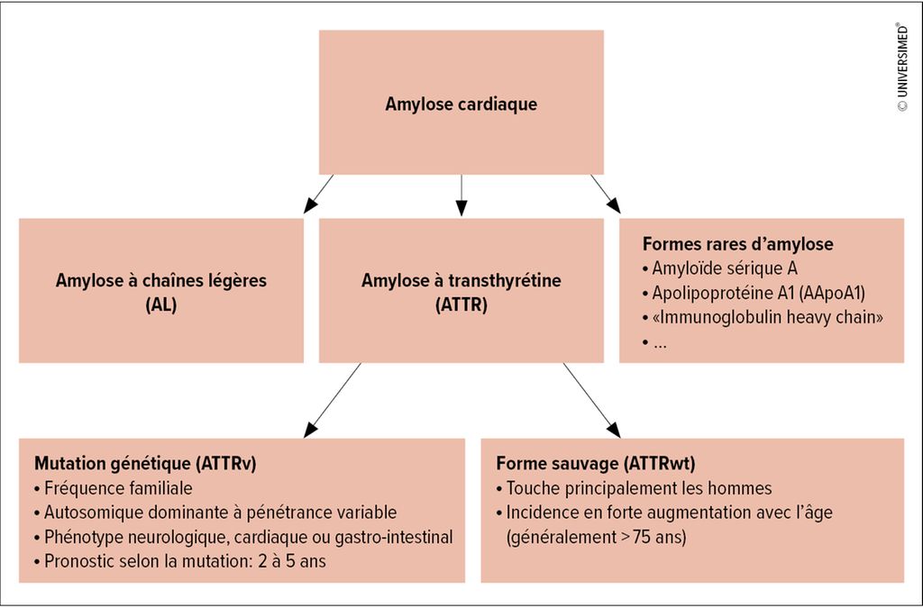 amylose-cardiaque-diagnostic-rapide-traitement-pr-coce-contenu-en